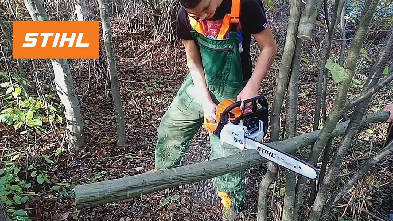 STIHL MS 230 - Моторна тестера - YouTube