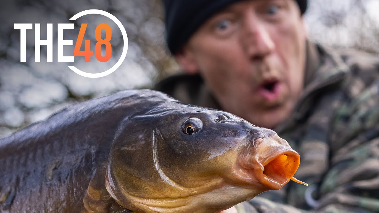 Renyard banks five Winter Carp in one night! - YouTube