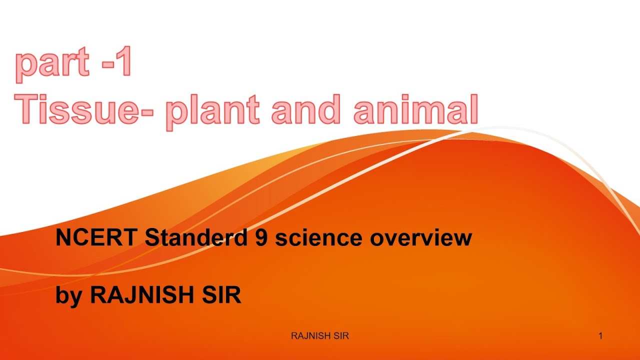 Plant tissue explained from ncert std 9 biology @ Biology experiments ...