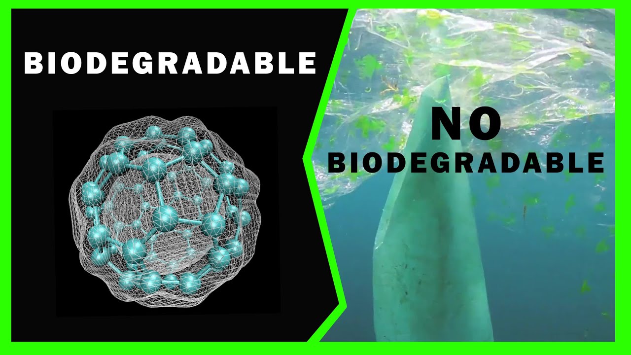 ♻️ Cuál es la DIFERENCIA de un ENVASE BIODEGRADABLE y NO BIODEGRADABLE ...