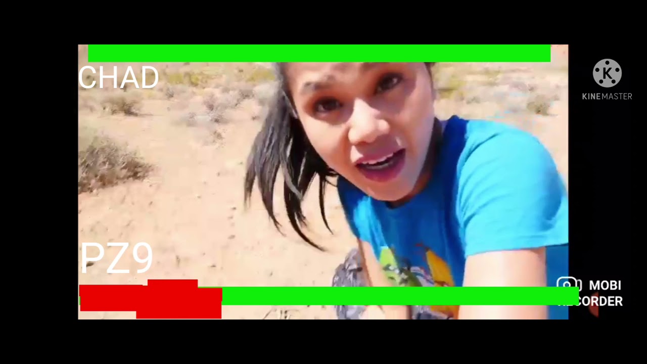 chad vs pz9 with healthbars ( part 1) - YouTube