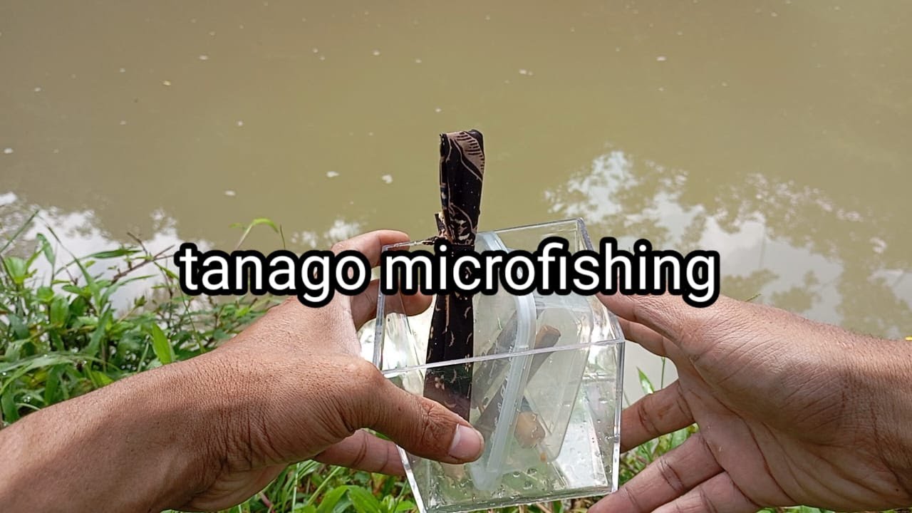 Tanago microfishing !!! fishing for small fish enjoying the sound of ...
