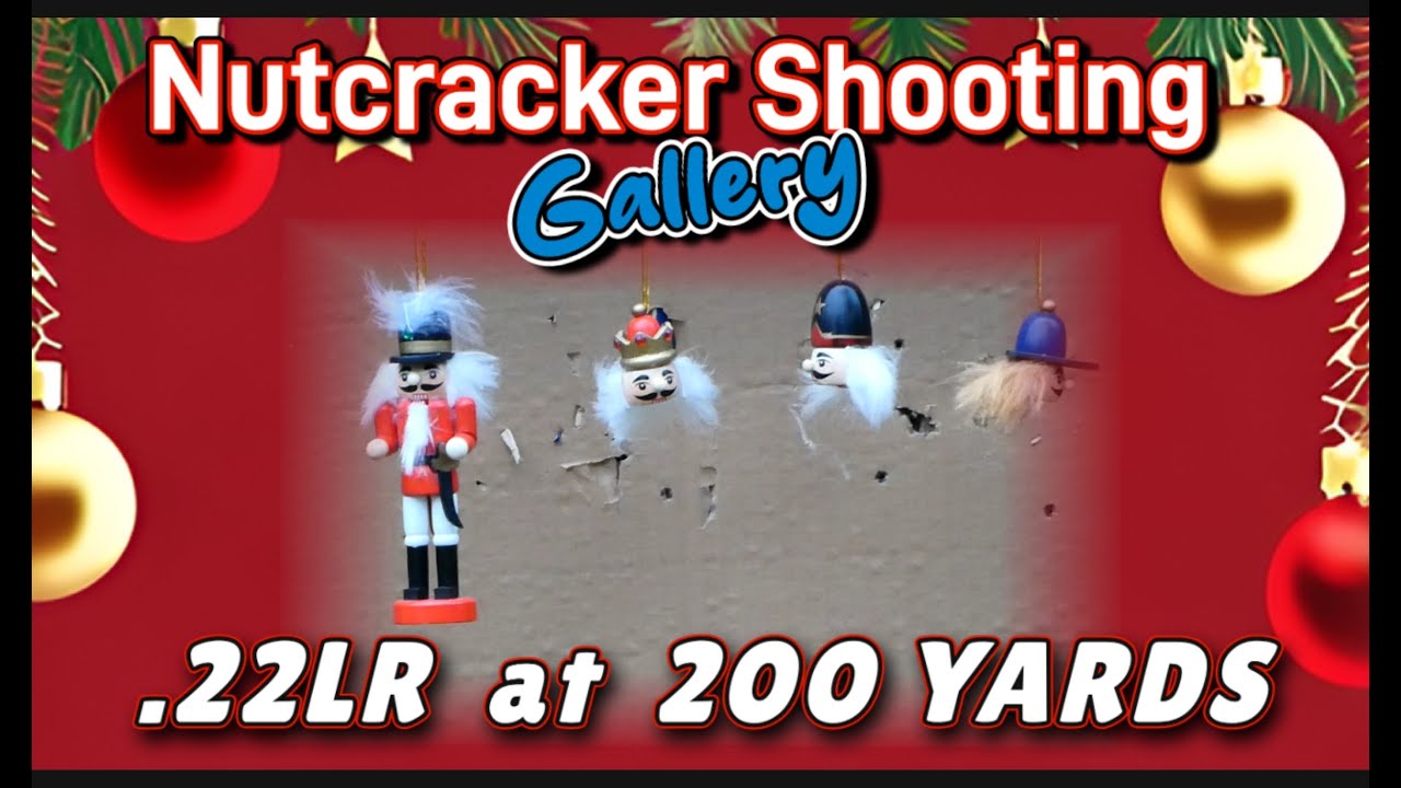 NutCracker Shooting Gallery at 200 Yards with the Bergara B14R and the ...