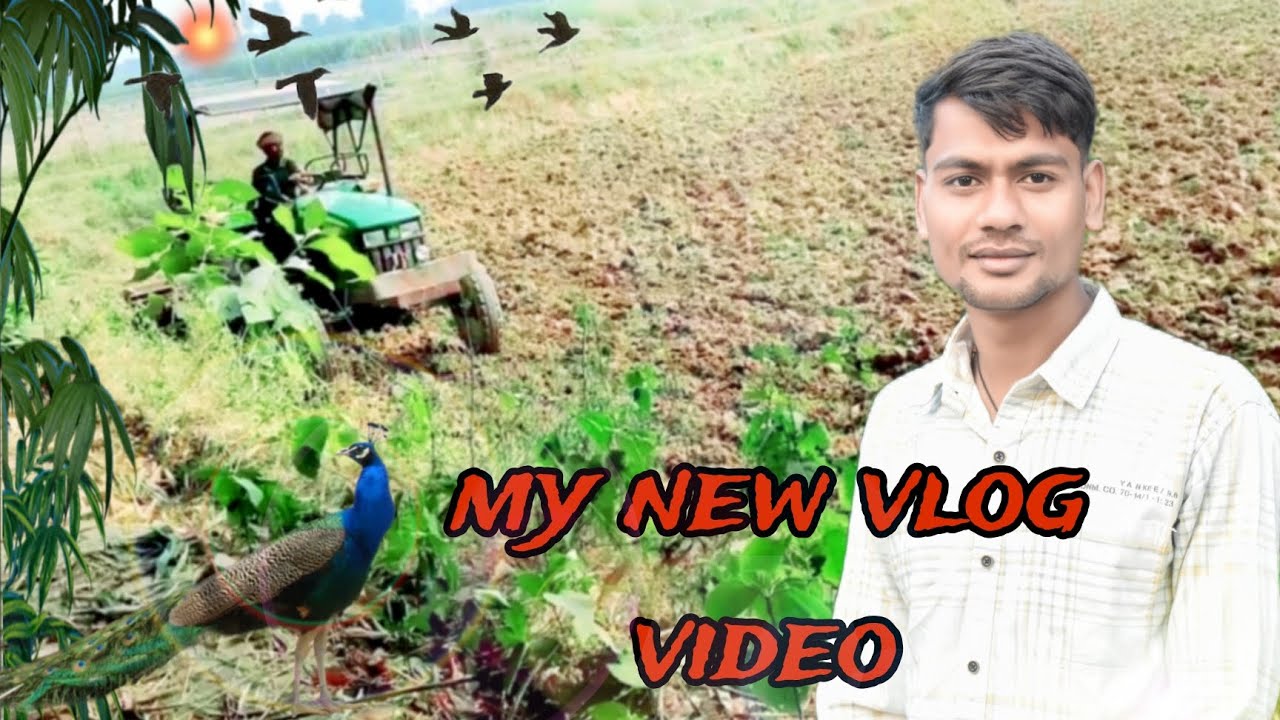 my new vlog video|| 🇮🇳Indian vlog video|| Vlog new - YouTube