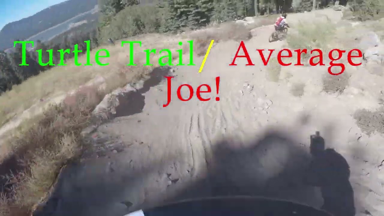 turtle trail - YouTube