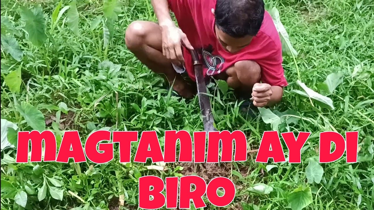 #pag may itinanim may aanihin - YouTube