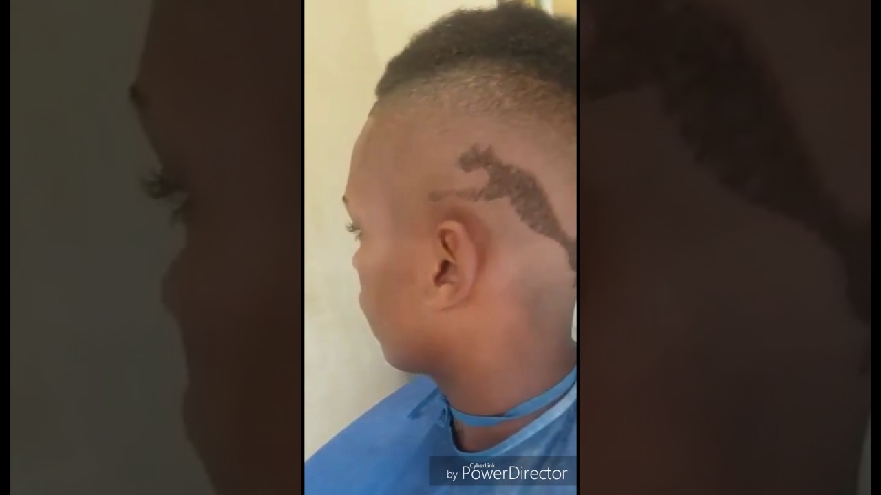 Puma haircut /puma en corte de cabello - YouTube