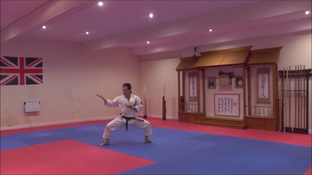 Seienchin kata SKIF by SKIF Sensei Katsu TJ-Shuhari Shotokan Karate ...