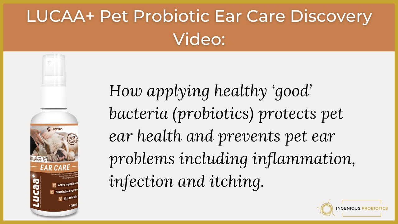 LUCAA+ Pet Probiotic Ear Care Discovery Video - YouTube