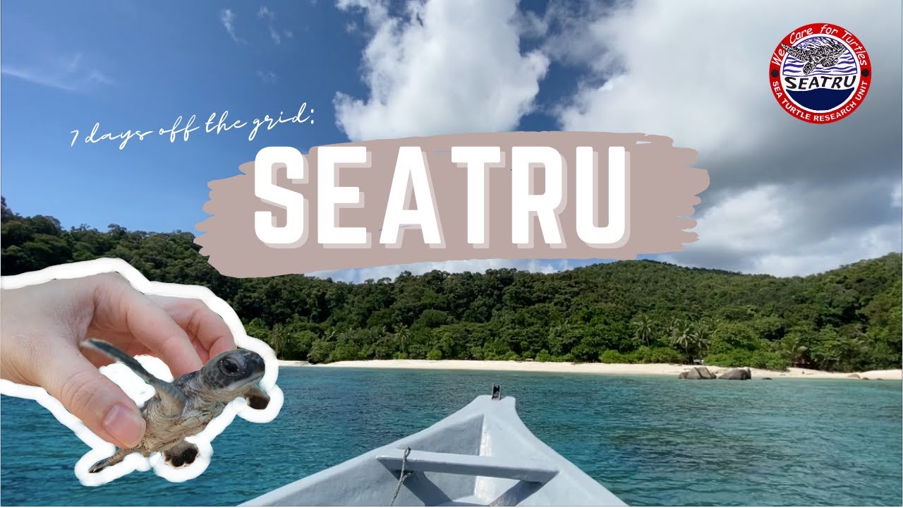 SEATRU - Turtle Conservation Program @ Chagar Hutang, Pulau Redang ...