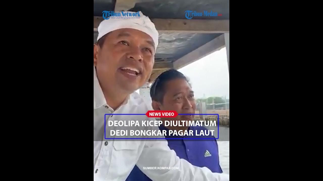 DEDI MULYADI ULTIMATUM Pemilik Pagar Laut Segera Bongkar Karena Tak Punya Izin, Langsung ...