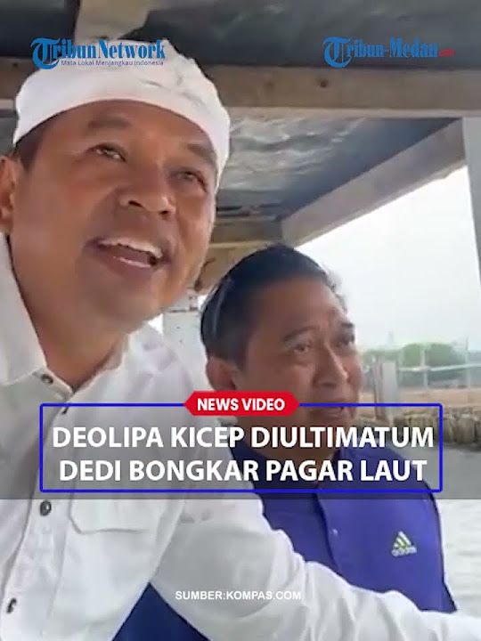 DEDI MULYADI ULTIMATUM Pemilik Pagar Laut Segera Bongkar Karena Tak Punya Izin, Langsung ...