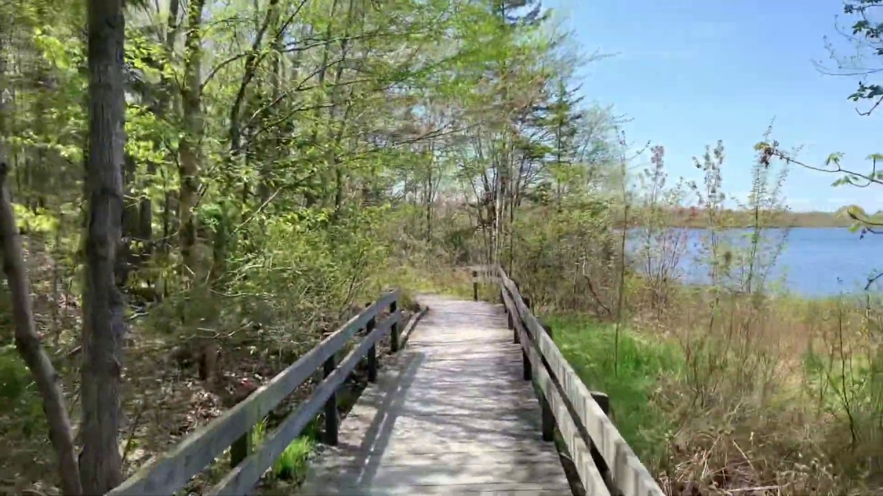 Albro Lake. Dartmouth Nova Scotia - YouTube