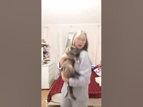Кошка в шоке была🤣 - YouTube
