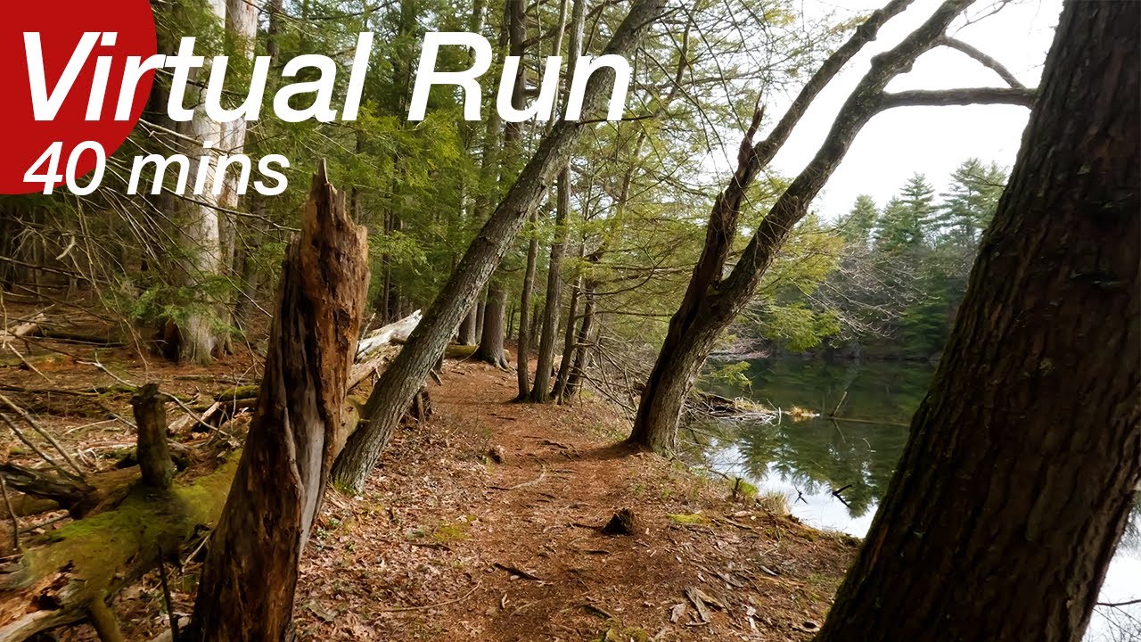Virtual Running Videos for Treadmill | 40 minutes | Forest and Lake 4K ...