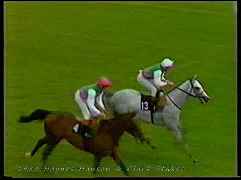 1983 Haynes Hanson & Clark Stakes Rainbow Quest Includes Replay - YouTube