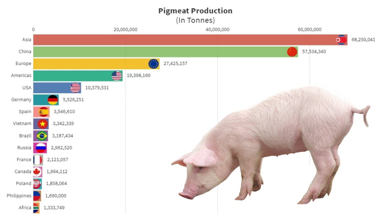 Top 15 Pig Meat Producing Countries in the World - YouTube