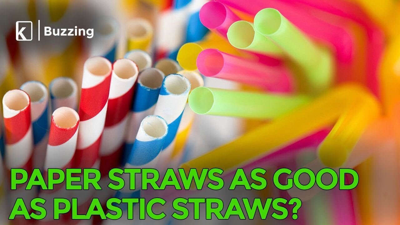 Paper straws, bamboo straws as bad as plastic straws? - YouTube