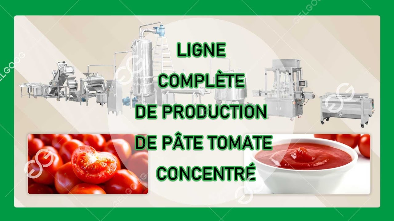 Ligne Complète De Production De Pâte Tomate Concentré - YouTube