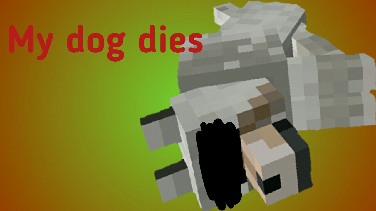 My dog dies😢! minecraft episode #5 - YouTube