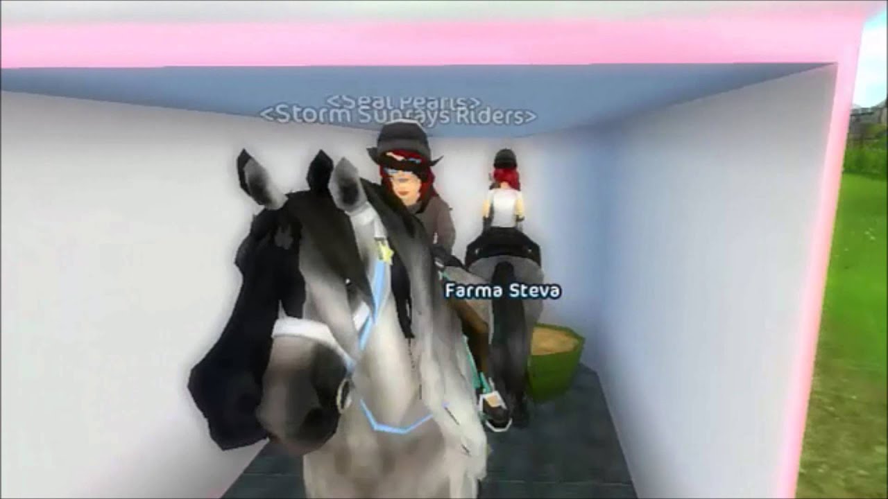 Star Stable Online (SSO) - Buying new horse - American Quater Horse ...