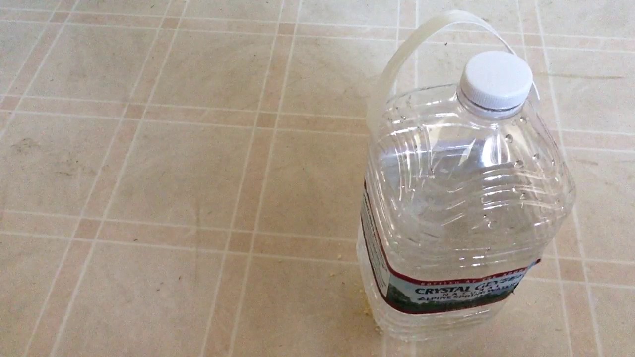 Carbohydrates Youtube