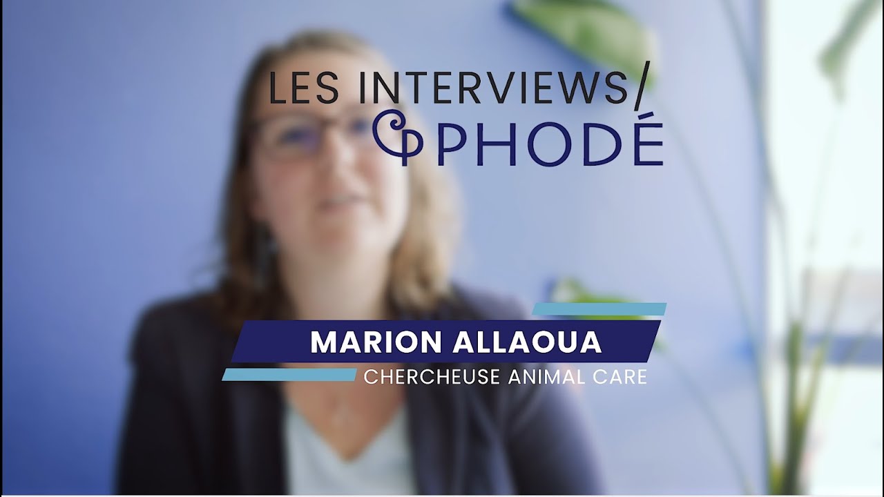Les Interviews Phodé - Marion Allaoua - YouTube