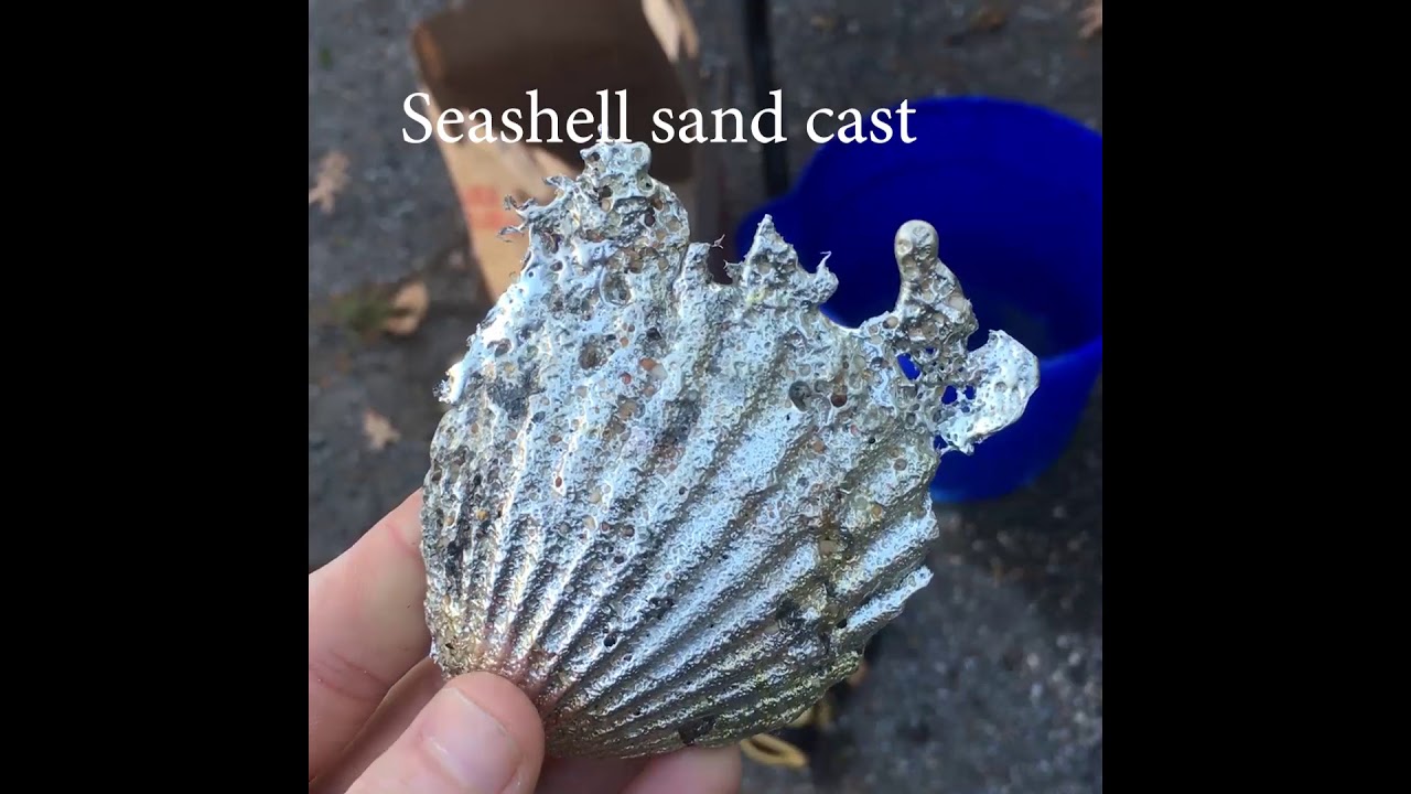 Sea Shell Pewter Casting - Project Book 2 - YouTube