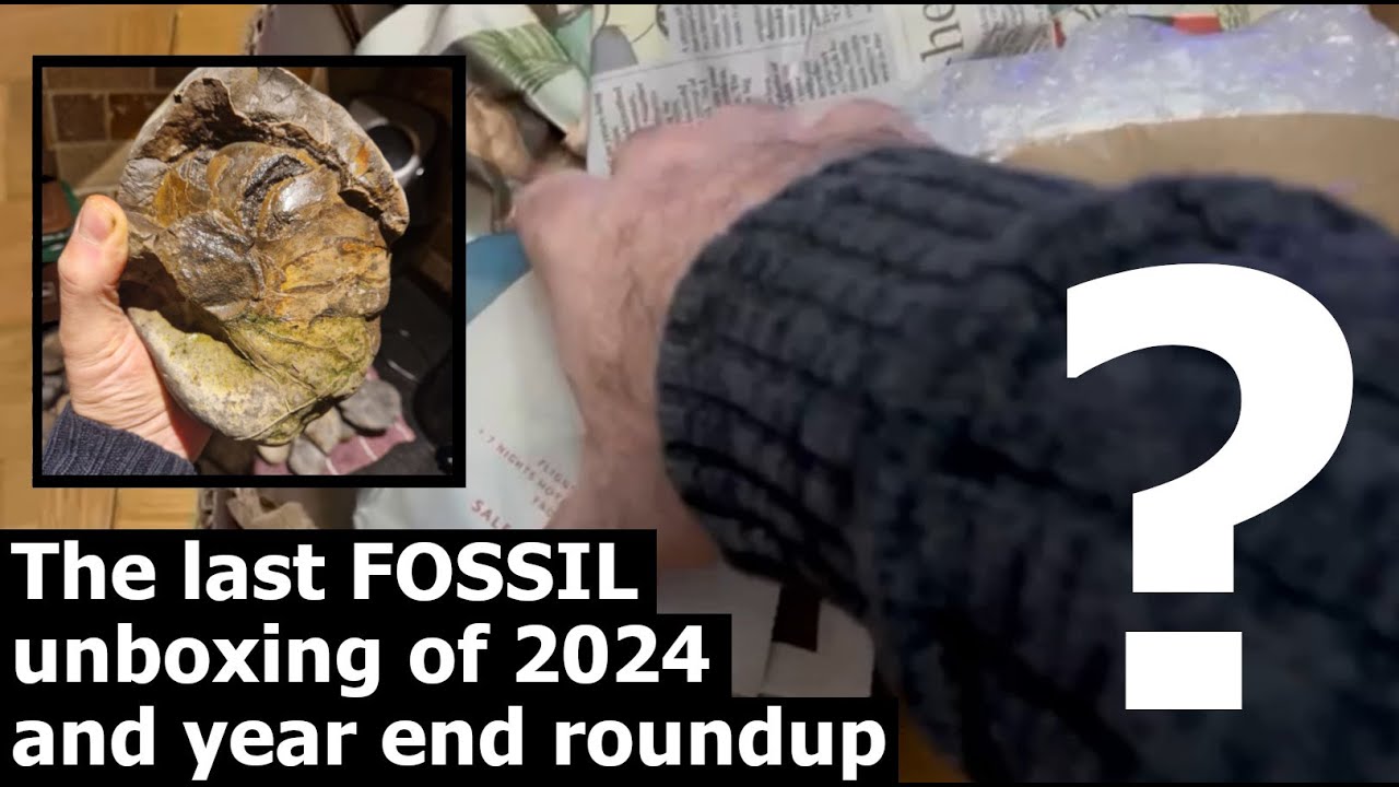 The last #FOSSIL #unboxing of 2024 and December roundup #fossilhunting ...