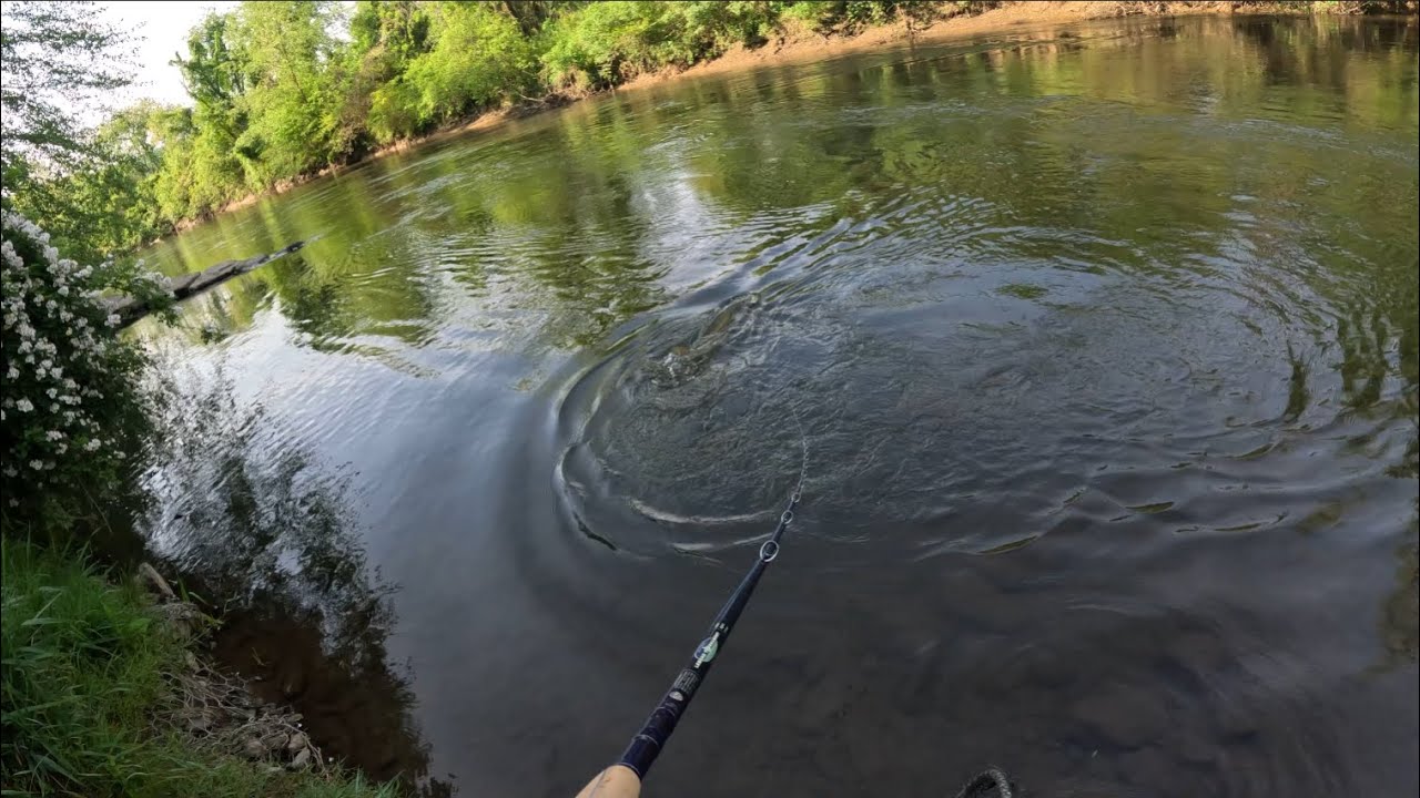 Muskie Fishing in Brevard North Carolina. Part One - YouTube