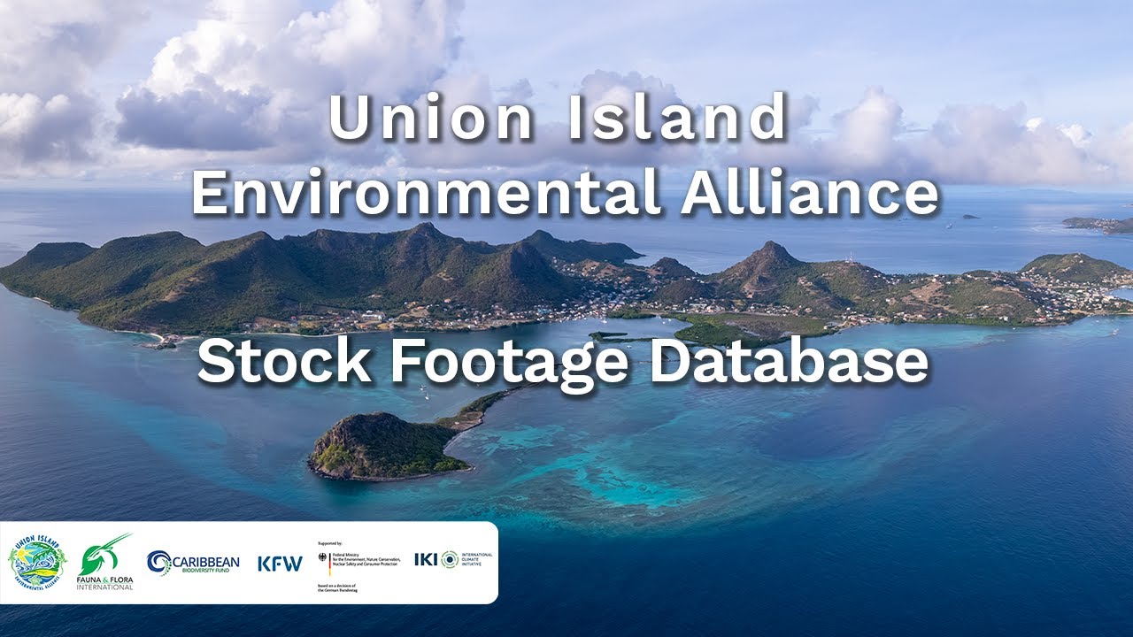Union Island Environmental Alliance Stock Footage Database - YouTube