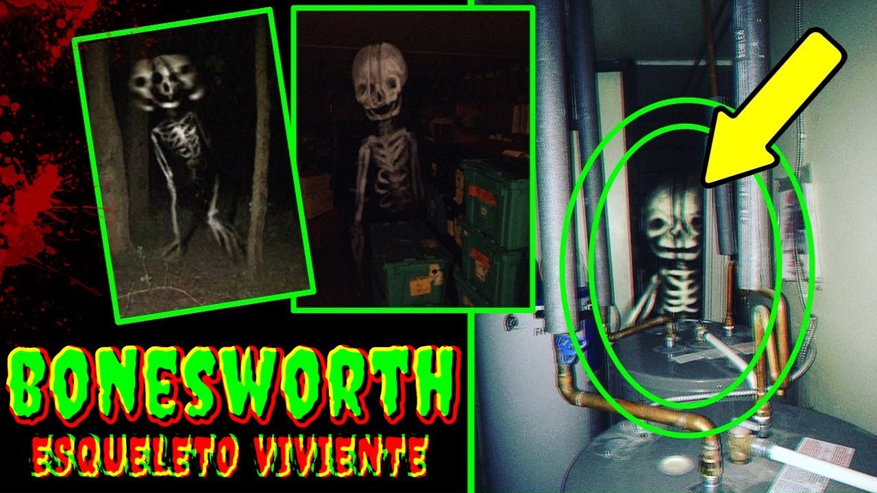 EL CASO Misterioso del Esqueleto Viviente BONESWORTH (Criaturas de ...