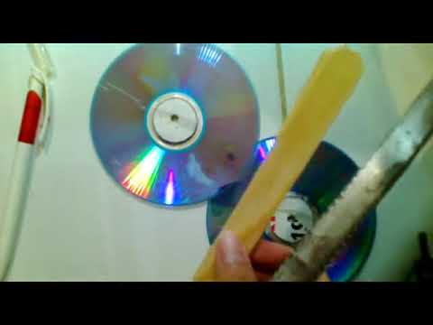 Vật Lý 6 LTV. Bánh xe ma quái - Đĩa CD - YouTube