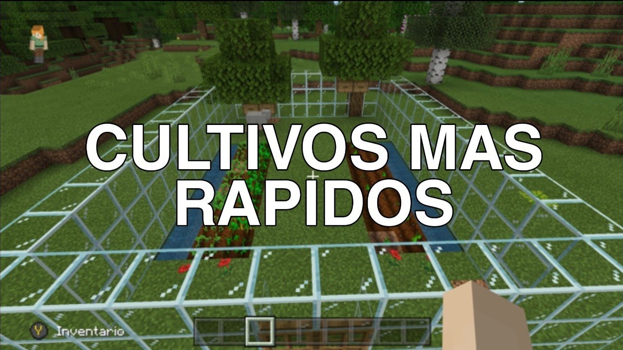Minecraft - Como hacer que tus cultivos crezcan mas rapido con abejas ...