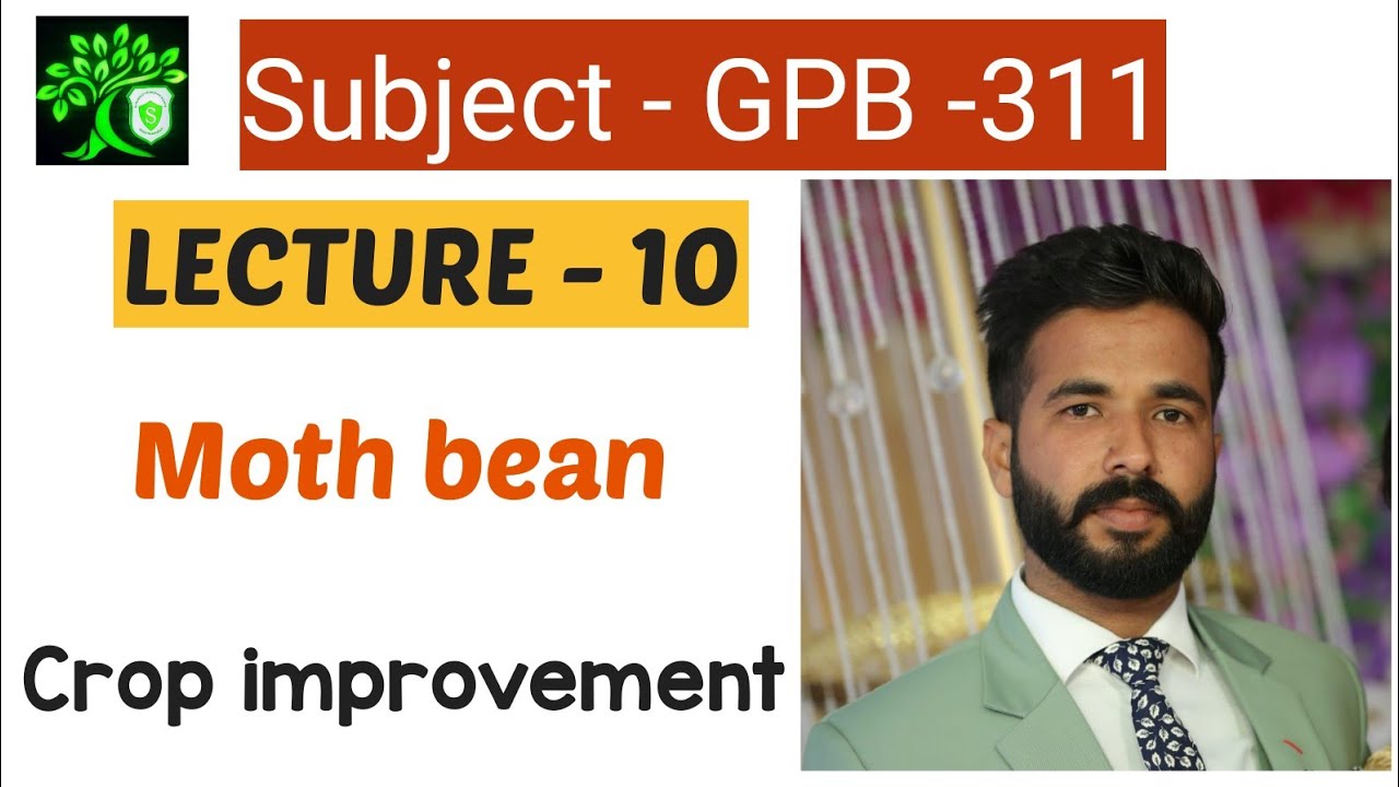 crop improvement in moth bean | moth bean | crop improvement in Kharif ...