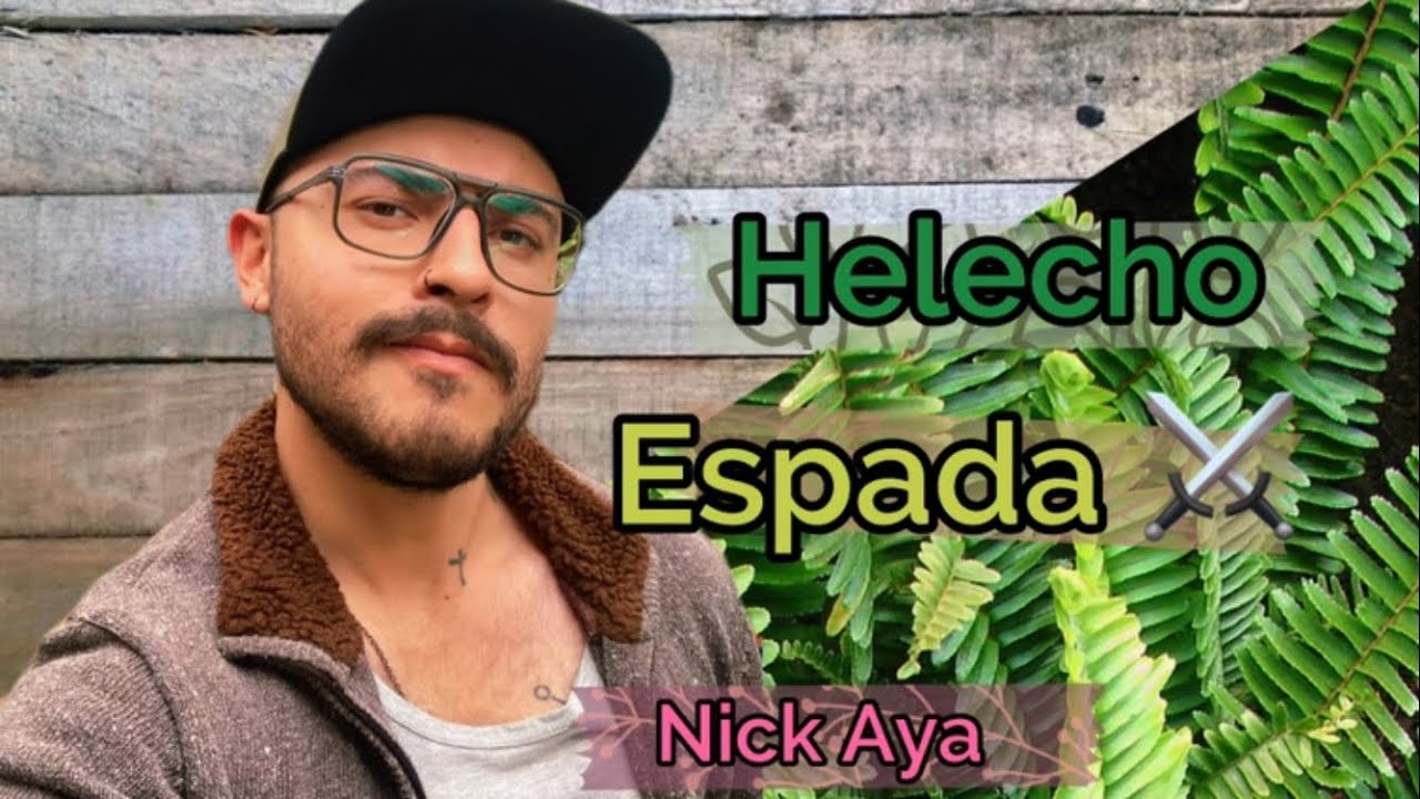 Nick Aya - Helecho Espada. #Plantas - YouTube