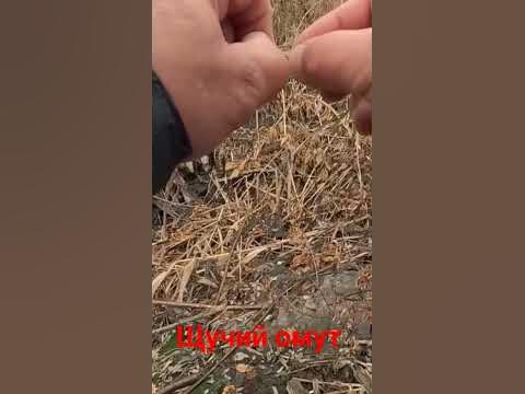 ловля щуки на воблер страйк про монтеро - YouTube