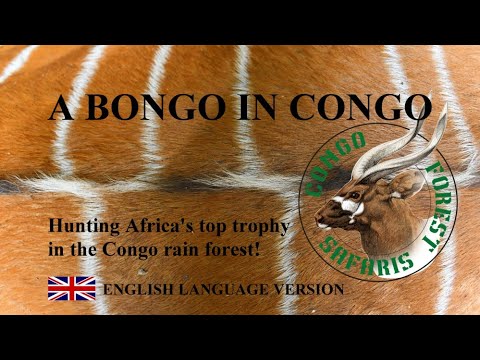 A BONGO IN CONGO (English version) - YouTube