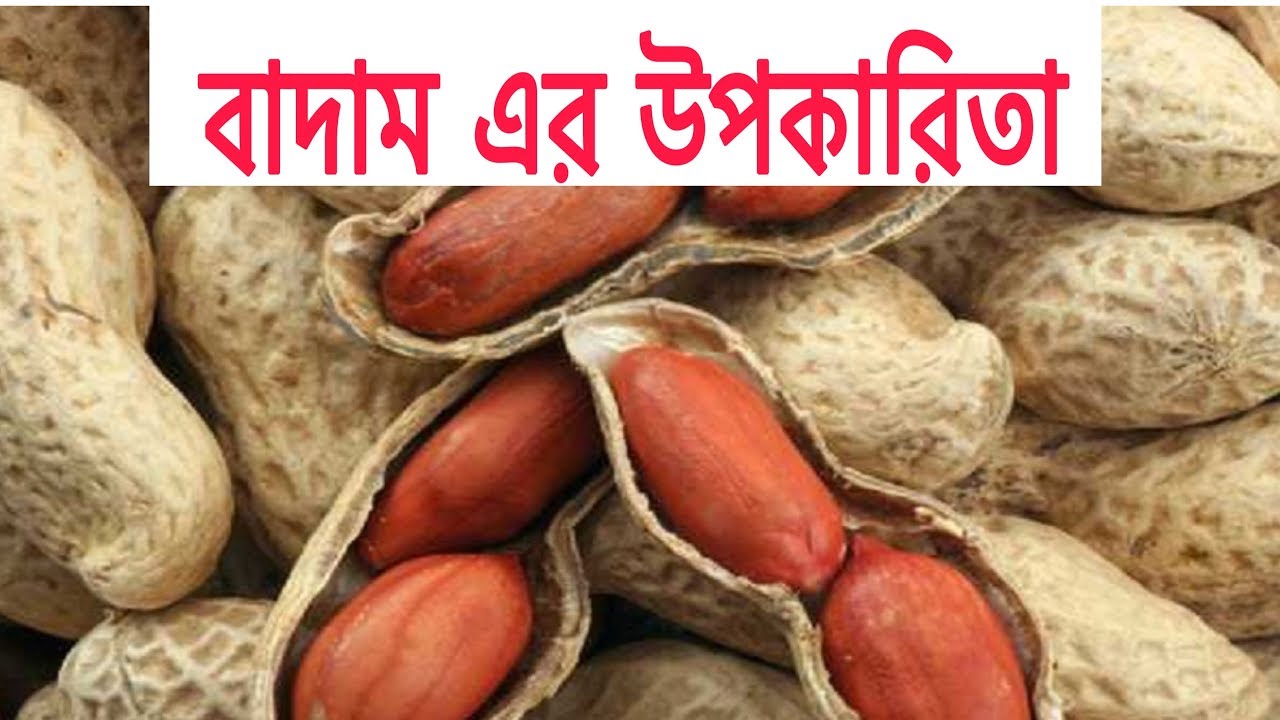 বাদামের উপকারিতা | বাদাম খাওয়ার গুণাগুণ জেনে নিন | nuts health ...