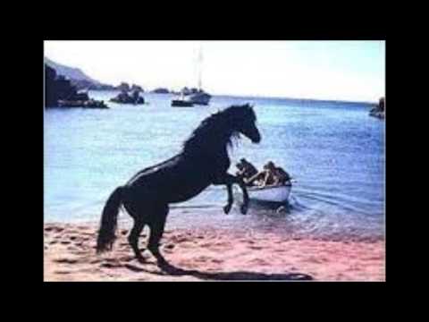 Trailer Corcel Negro - YouTube