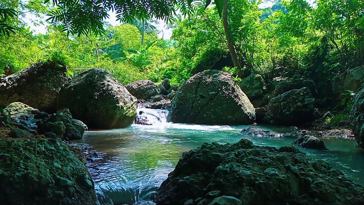 Peaceful Mountain Stream Sounds: Unwind and Rest - YouTube