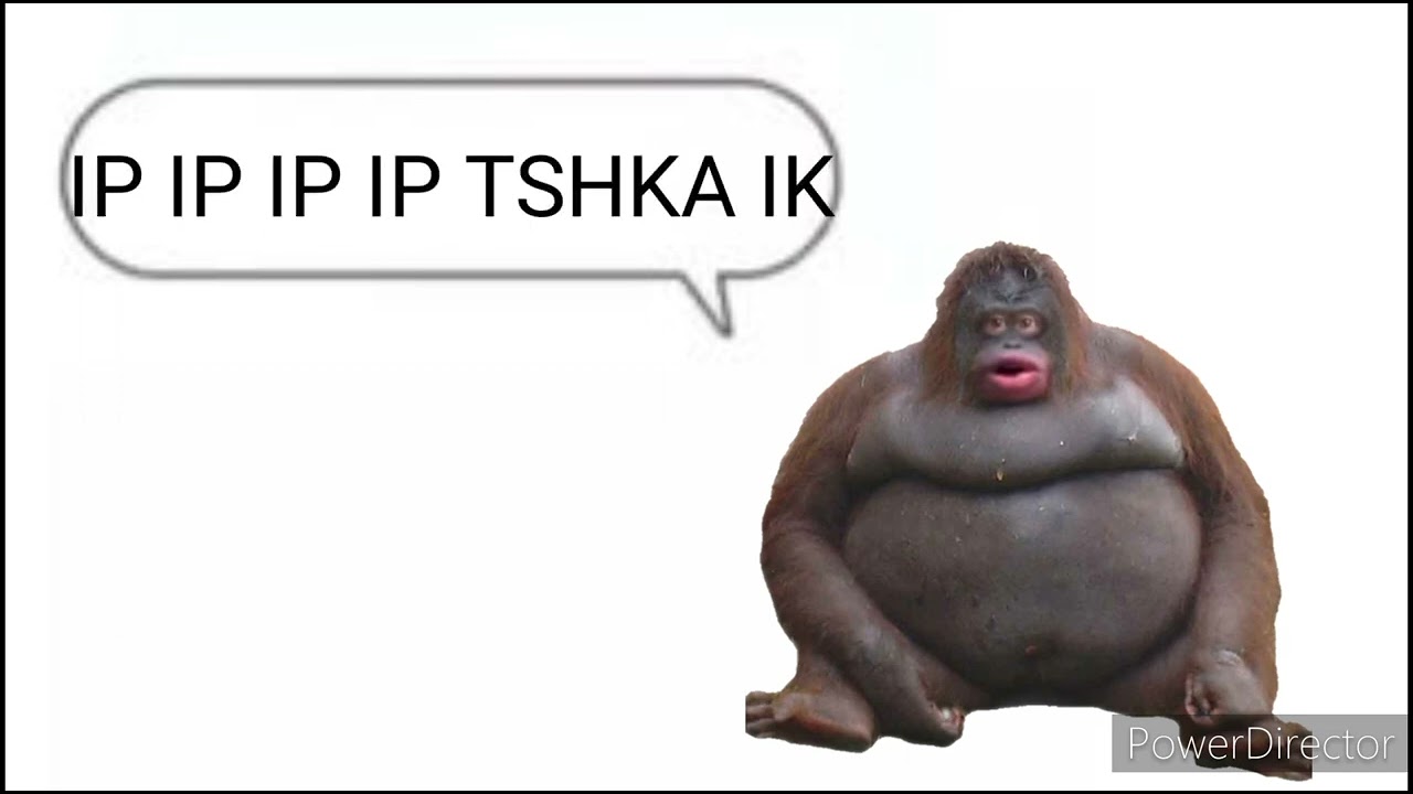TURI IP IP IP meme #2 | Homemade - YouTube