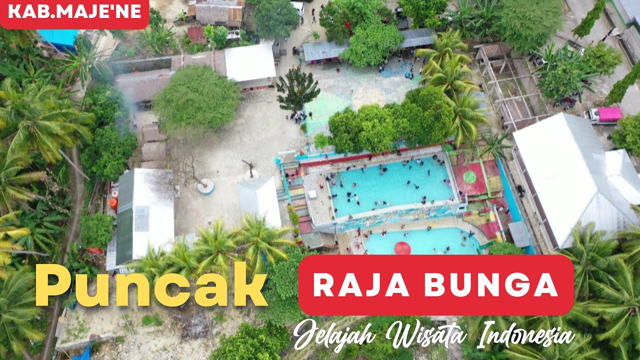 WISATA MAJENE PUNCAK RAJA BUNGA - YouTube