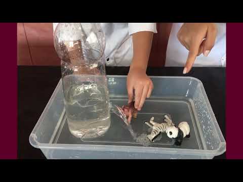 Demir'le Eğlenceli Deneyler - En Uzağa Su Fışkırtma Yarışı | Çocuk Etkinliği