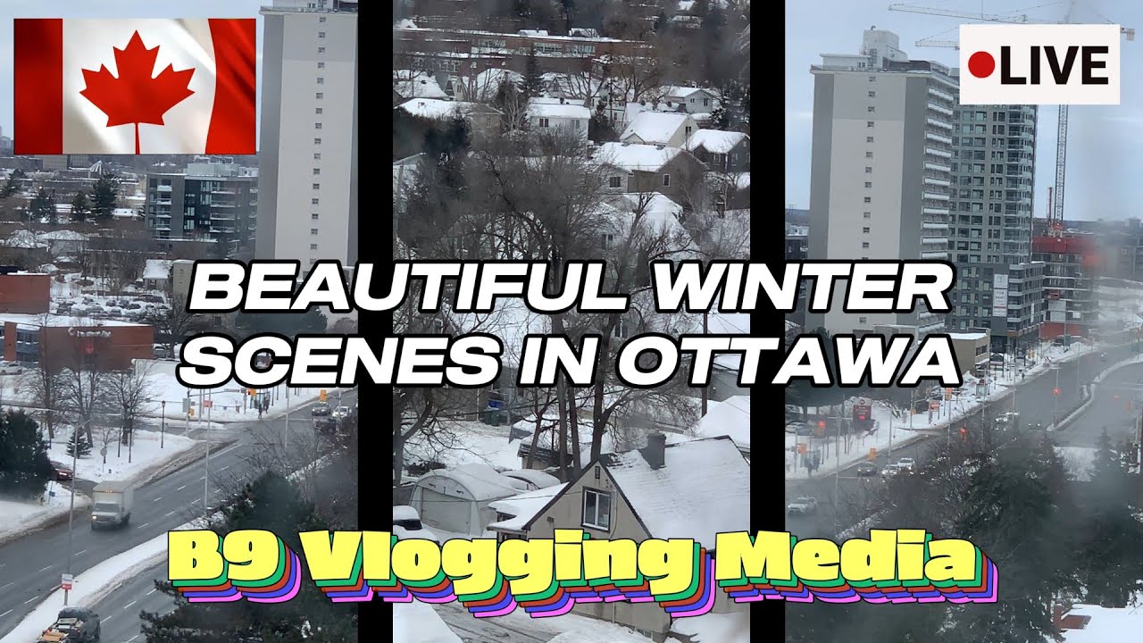 BEAUTIFUL WINTER SCENES IN OTTAWA, ONTARIO CANADA. 4K - YouTube