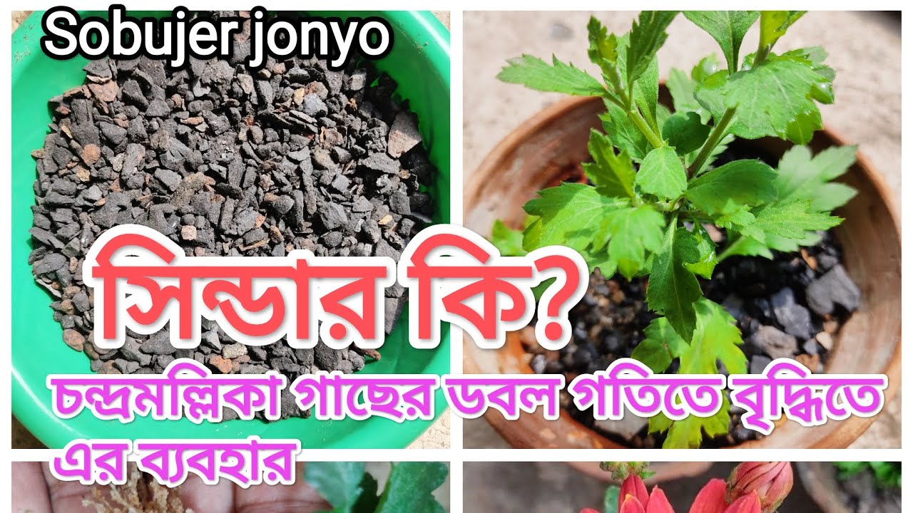 What is cinder? how to use in gardening - YouTube