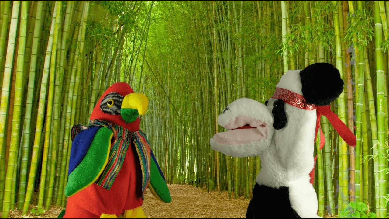 Pablo & Friends - Week 3 - YouTube