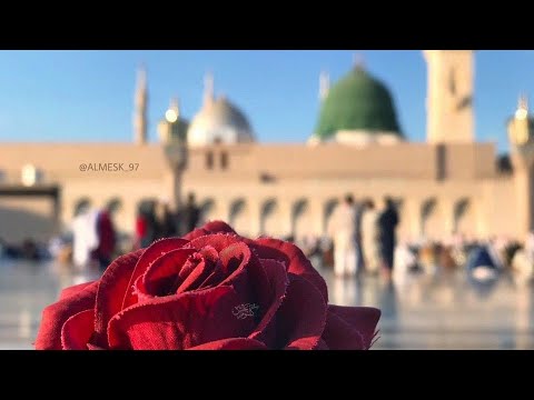 Ya💙 RasoolAllah ❤️ Muhammadﷺ 💜 |Heart touching ✨||Beautifull Naat sharif 2023 #eidmiladunnabi #viral