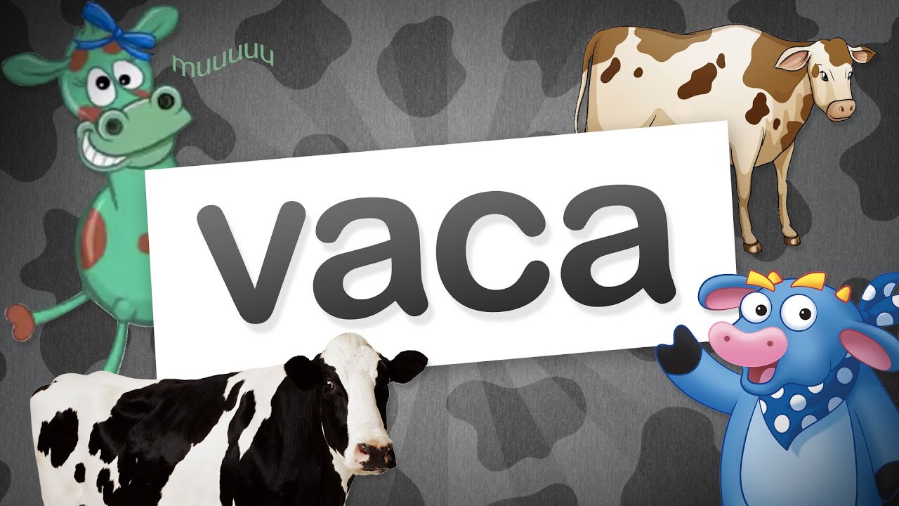 Vaca! - YouTube