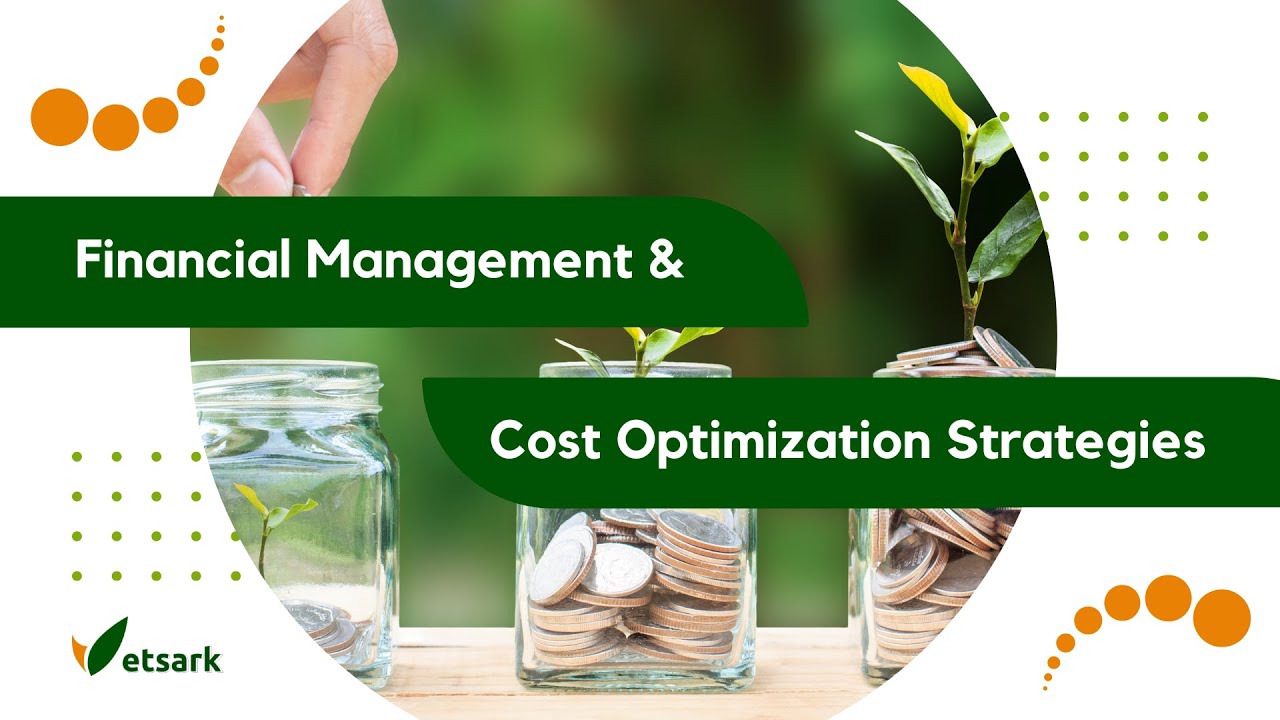 Financial Management and Cost Optimization Strategies - YouTube